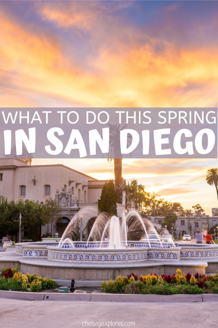 7 THINGS YOU MUST GO TO THIS SPRING IN SAN DIEGO - Chelsey Explores ...