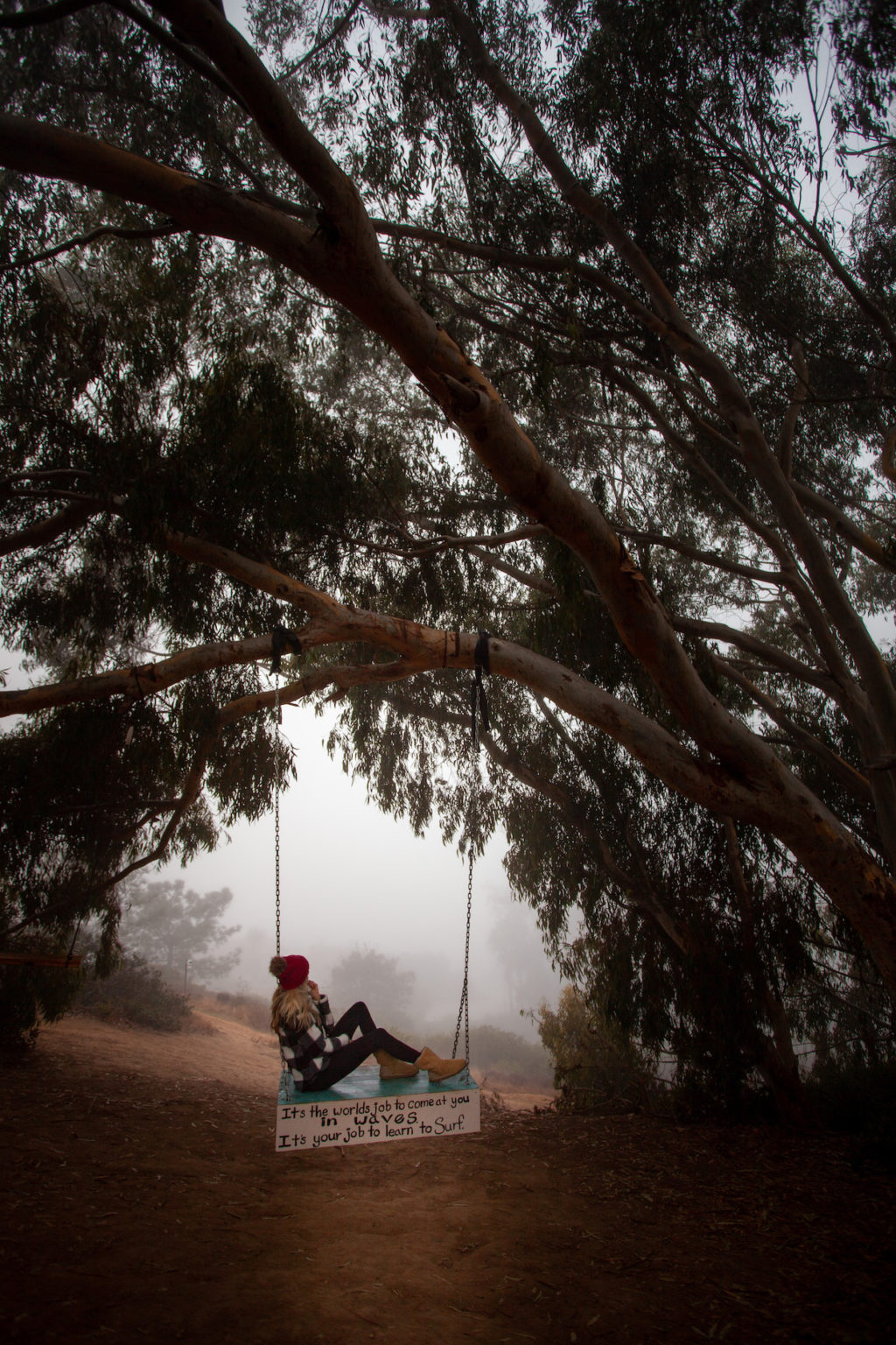 Guide To Visiting The La Jolla Swings In San Diego Chelsey Explores