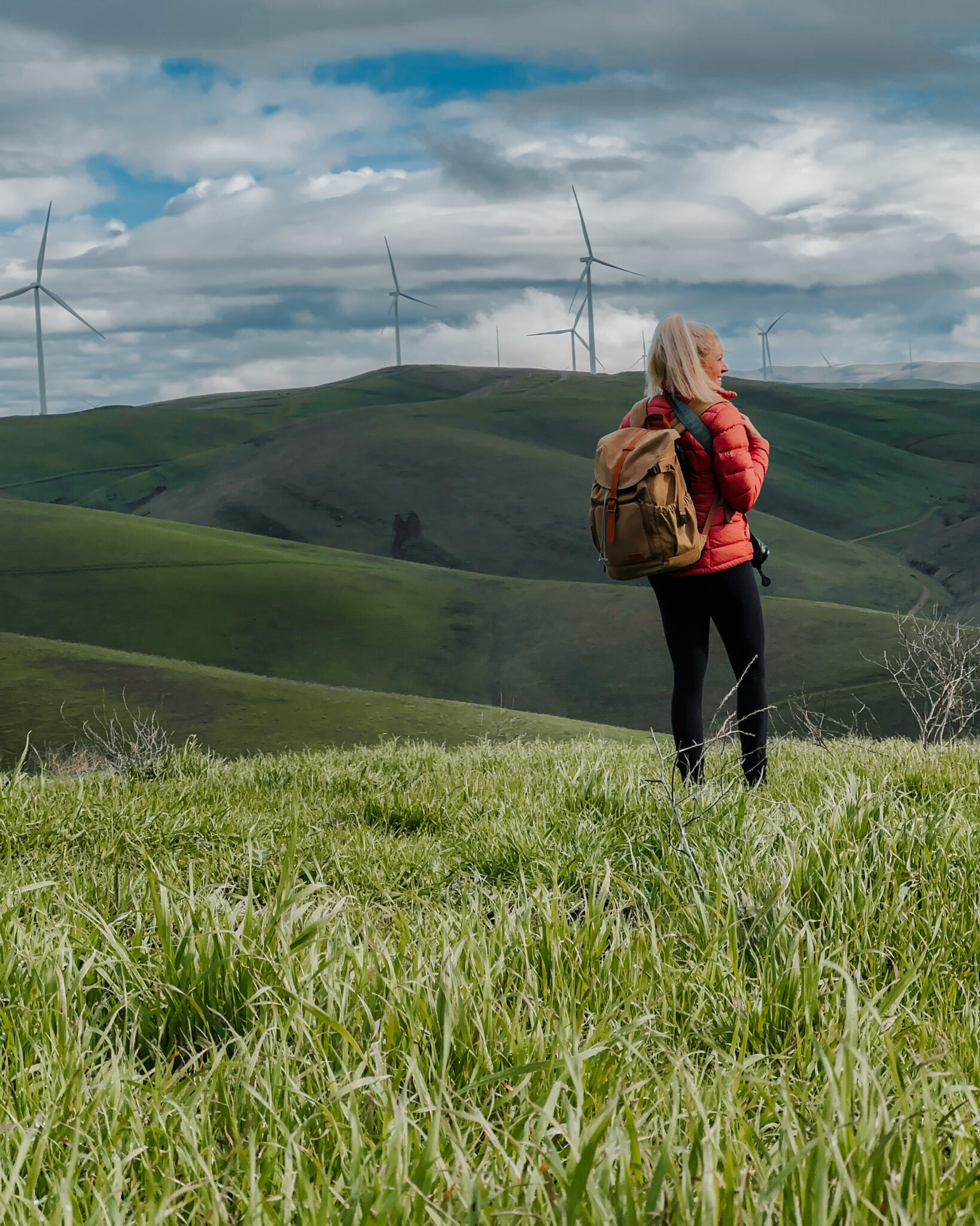 Epic things to do in Tri Valley ( A hidden gem in California)