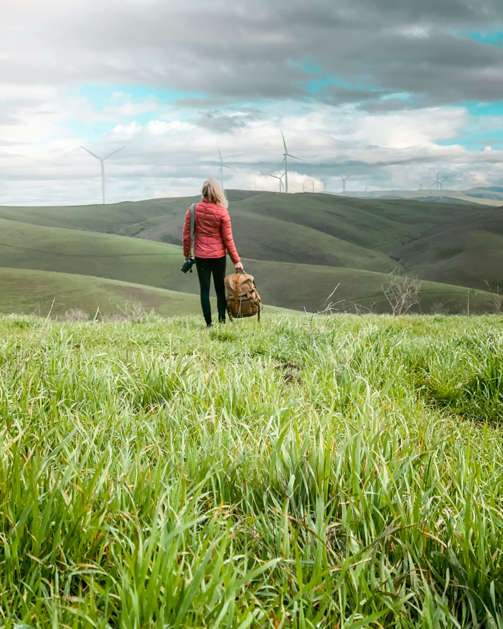 Epic things to do in Tri Valley ( A hidden gem in California)