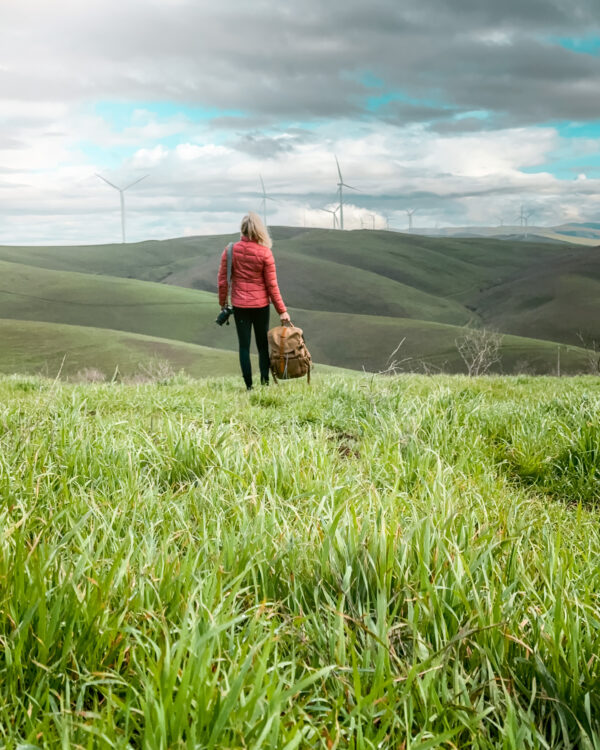 Epic things to do in Tri Valley ( A hidden gem in California)