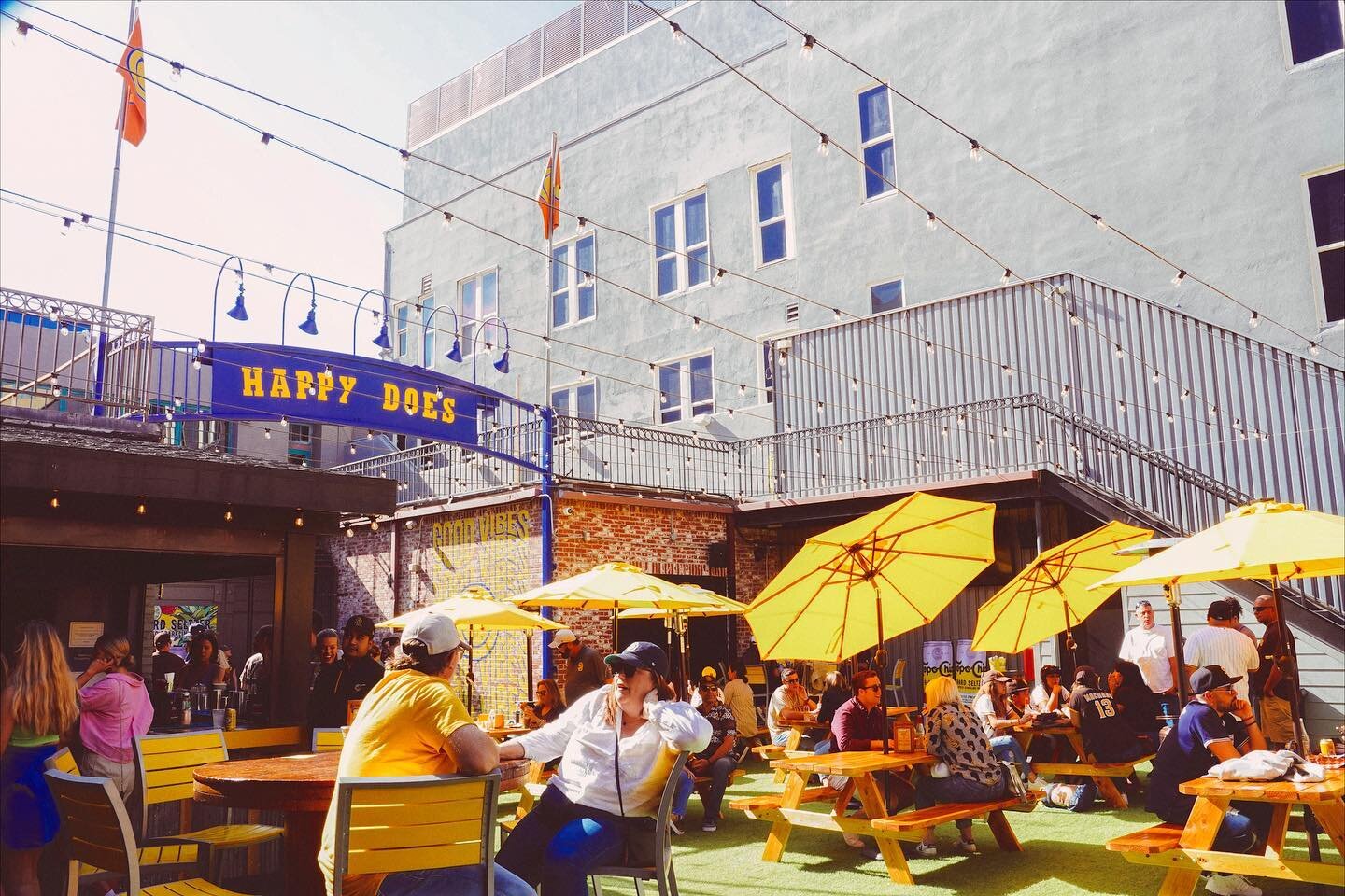 Dog-Friendly Activities in San Diego - Chelsey Explores