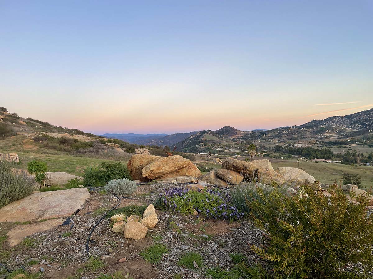 13 Places To Put The Ring On The Finger In San Diego Chelsey Explores