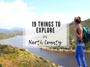 19 Fun Things to do in North County San Diego and Beyond! - Chelsey ...