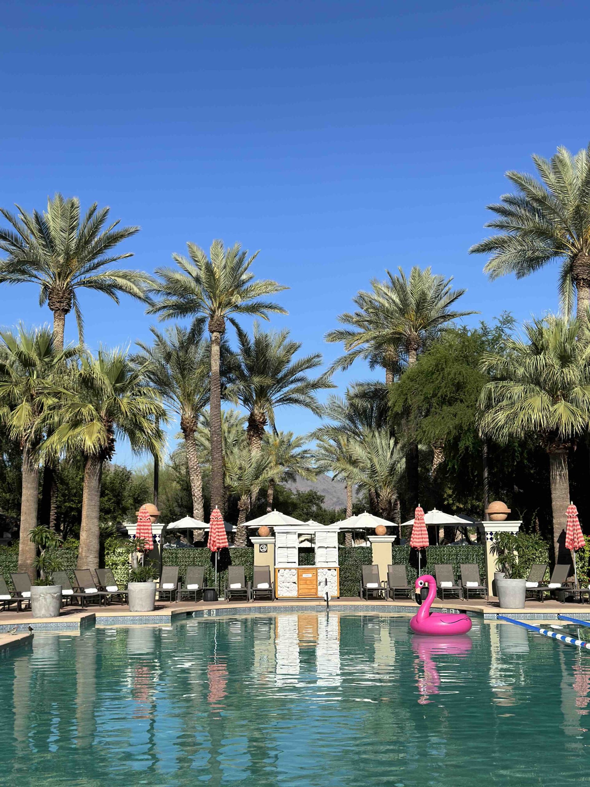 The Ultimate Phoenix Itinerary: A 3-Day Guide - Chelsey Explores ...