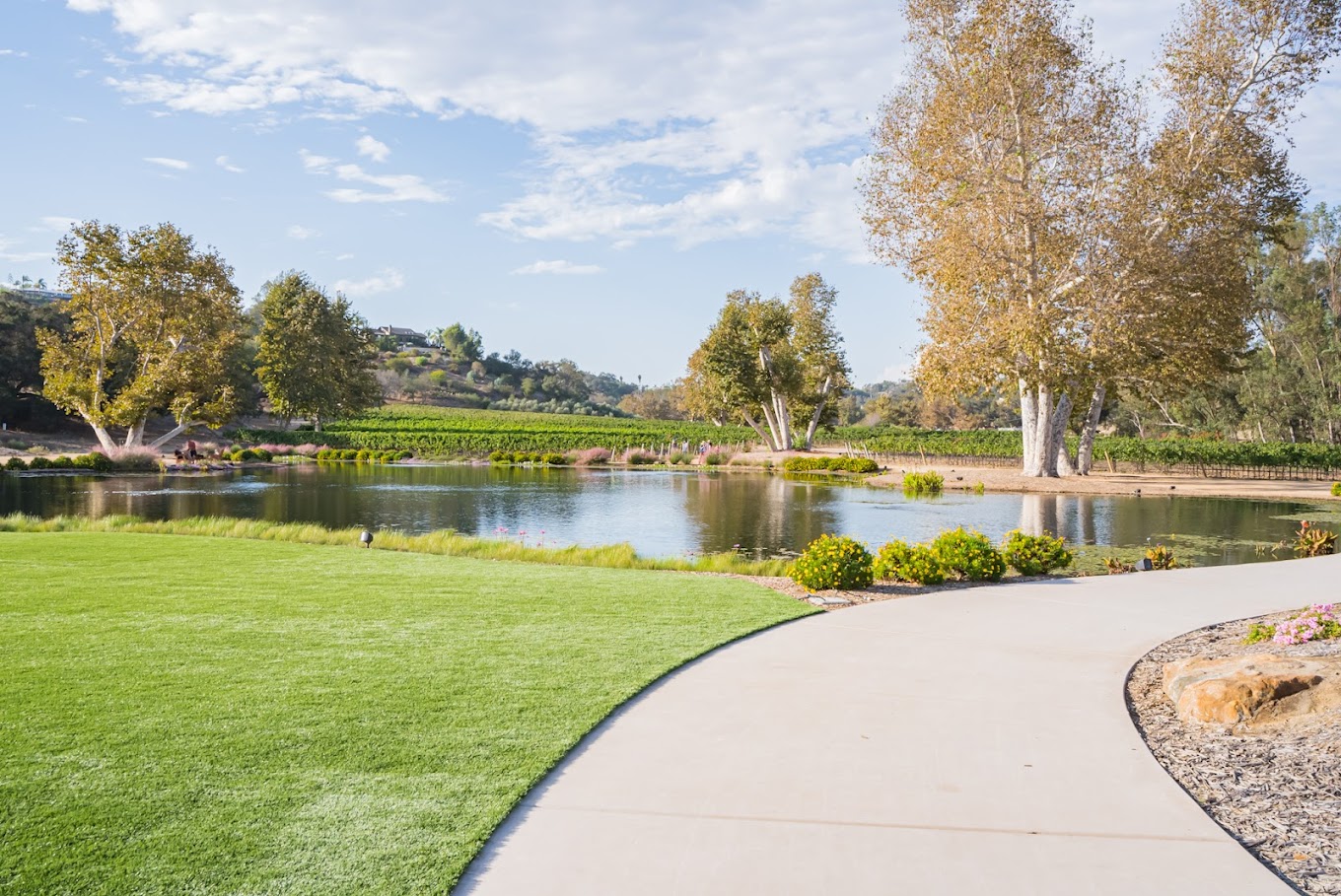 20 Wineries Near San Diego You Can’t Miss - Chelsey Explores-Outdoor ...